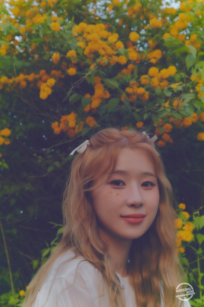 Rocking Doll Roa & Ahri Perfil (2026) – LOVE4Ever BR